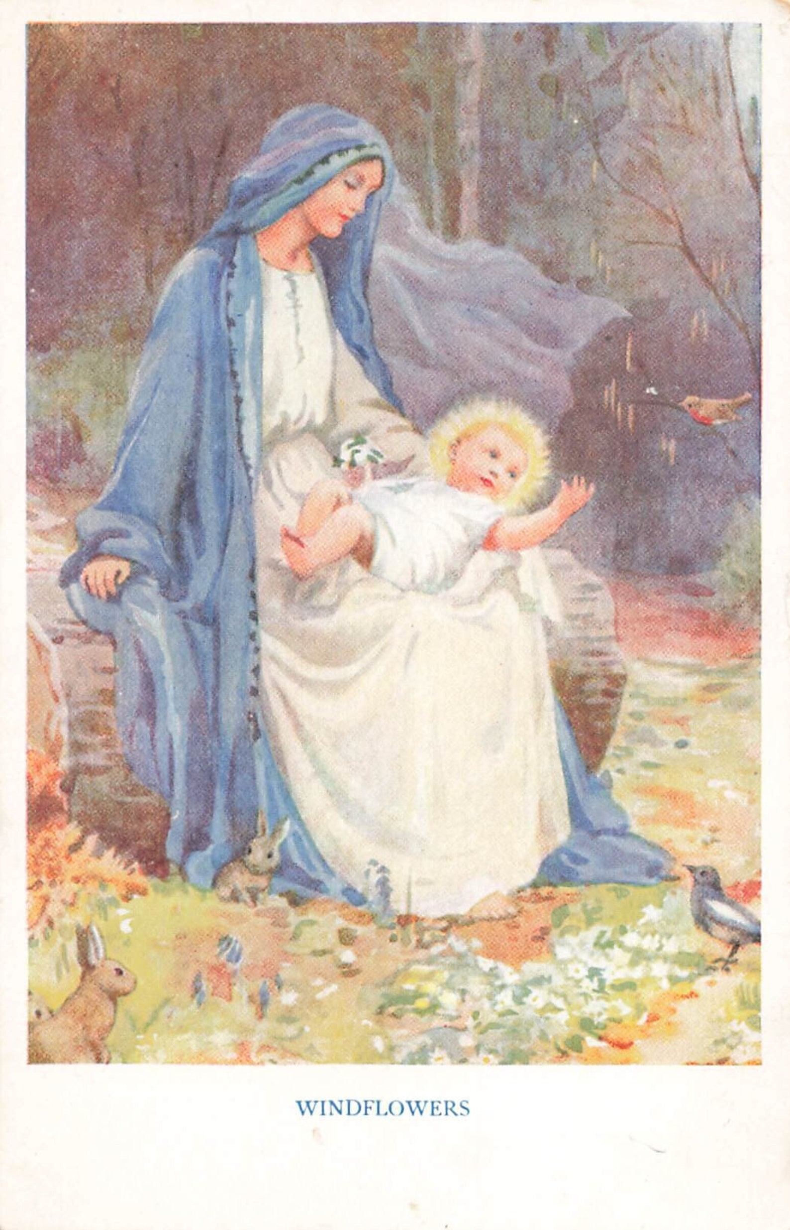 Windflowers Vintage 1940's Postcard Publisher Medici Society - Etsy