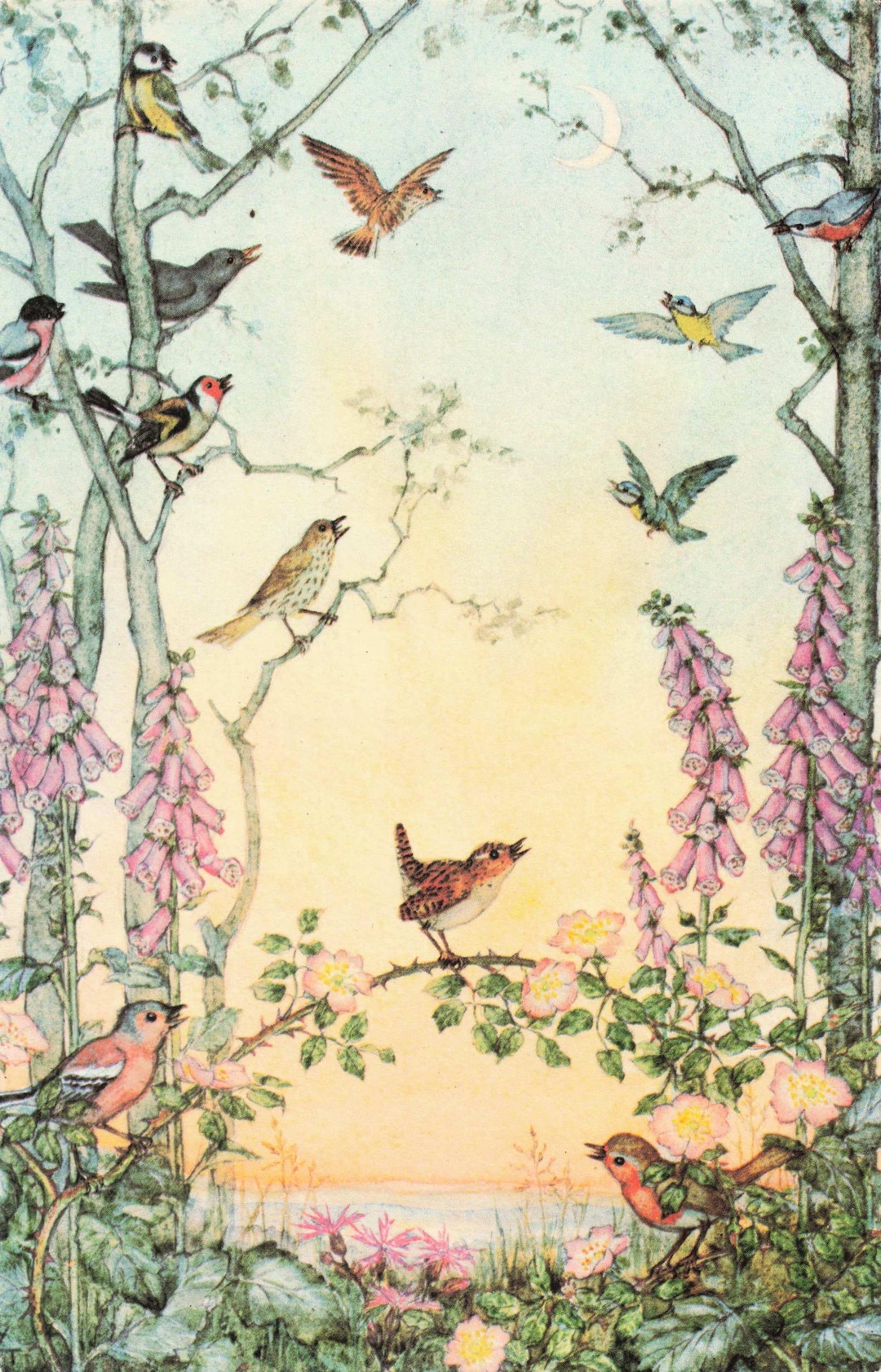 Artist Molly Brett Birds Dawn Chorus Medici Society Vintage Postcard - Etsy