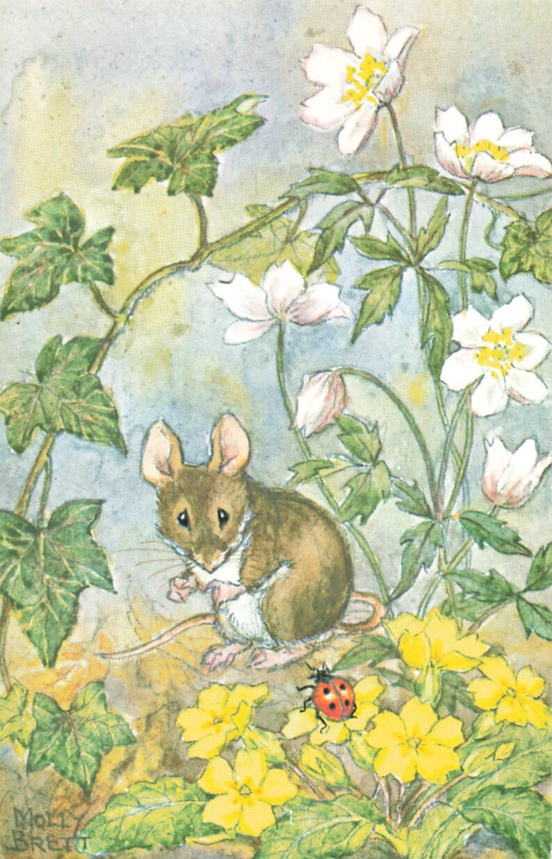 Molly Brett What Lovely Spots Mouse and a Ladybird Vintage Postcard ...