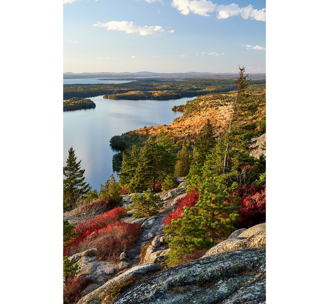 Acadia National Park Photography Fall Foliage Fall Colors - Etsy France
