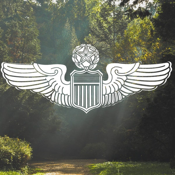 Air Force Party - Etsy