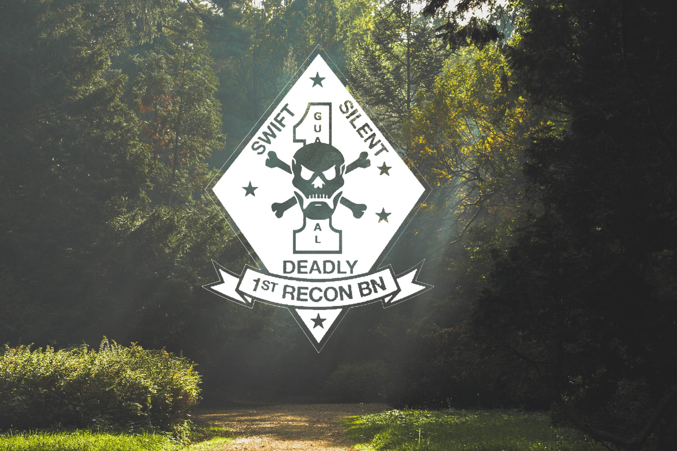 USMC 1st Recon Battalion Decal Vinyl Stickercars Trucks - Etsy