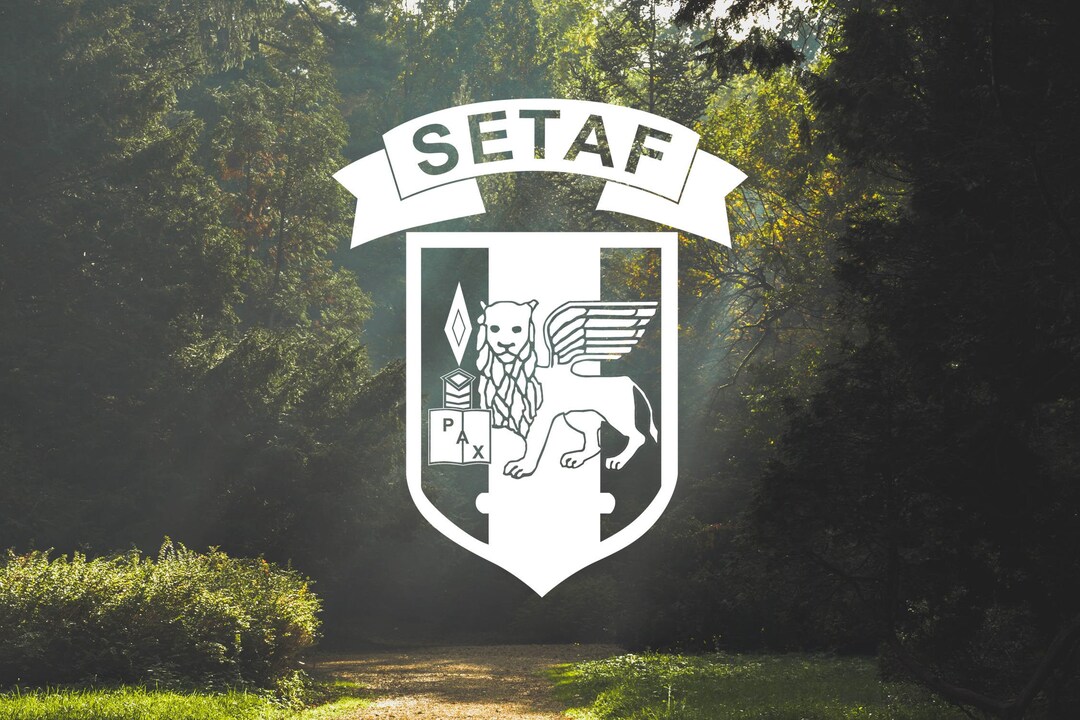 US Army SETAF US Army Command - Etsy