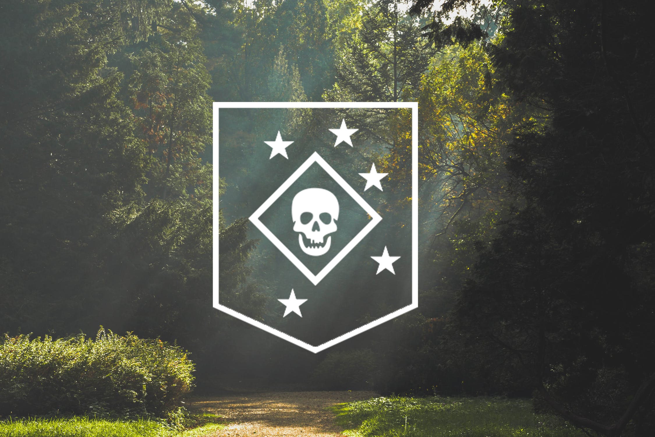 Marine Raider patch Decal Vinyl StickerCars Trucks Vans | Etsy