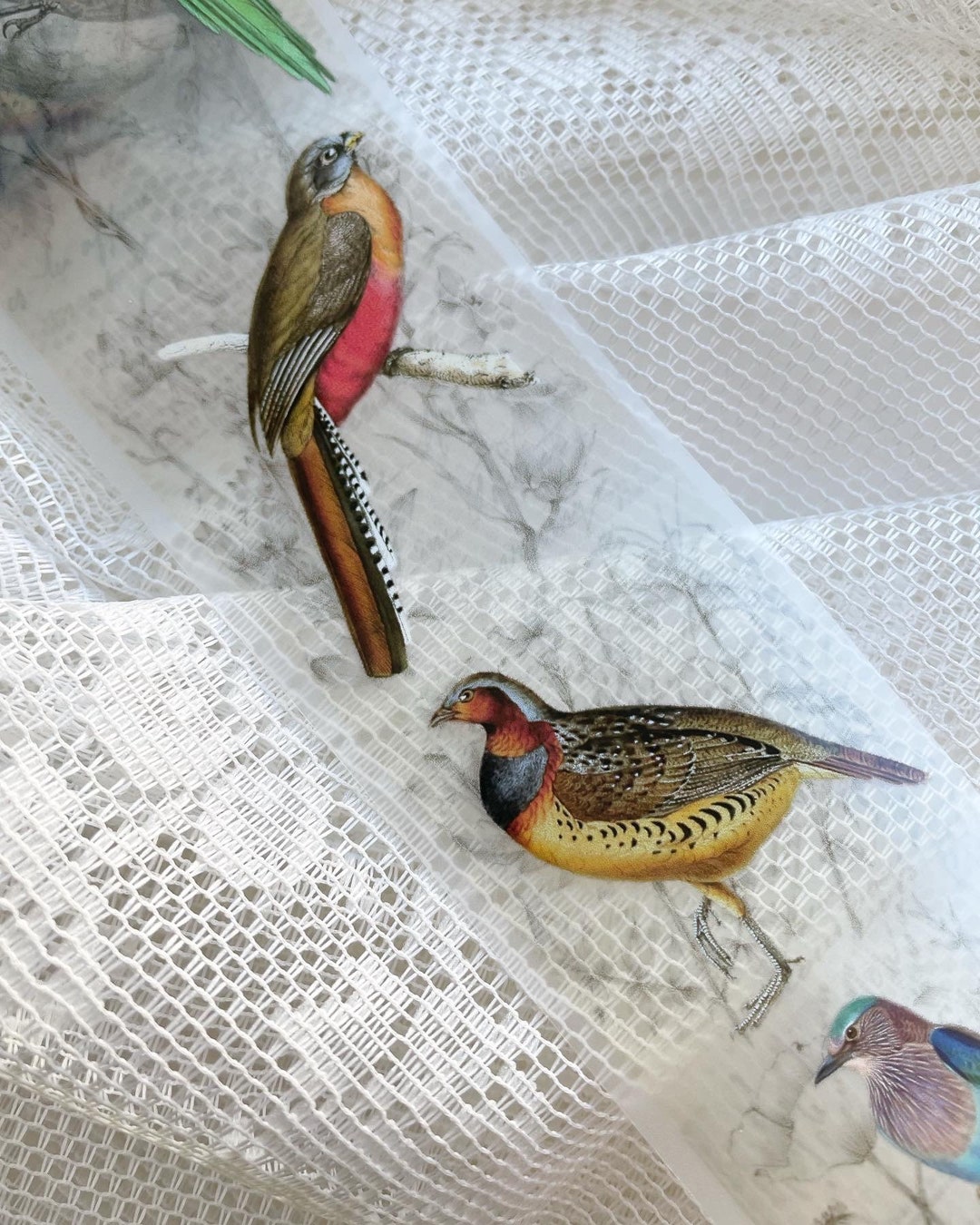 Birds Washitape Pet Tape Course - Etsy