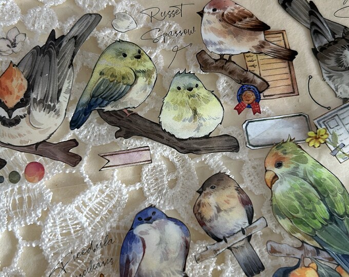 120 Cm LOOP | Birds PET Tape Sample | Decorative Junk Journal Ephemera ...