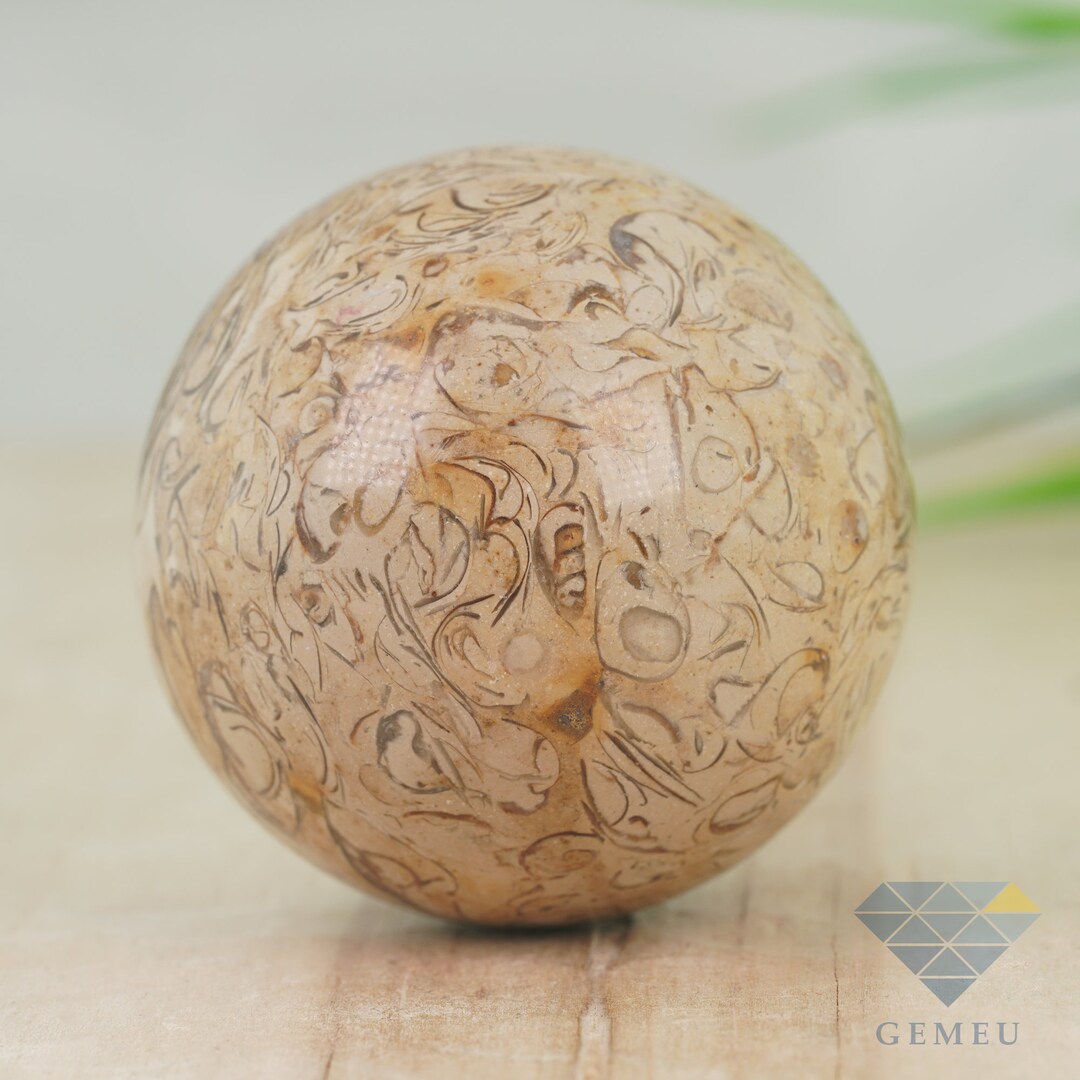 Dinosaur Bone Crystal 147g. Carved Sphere Fossilized Plesiosaur Bone ...