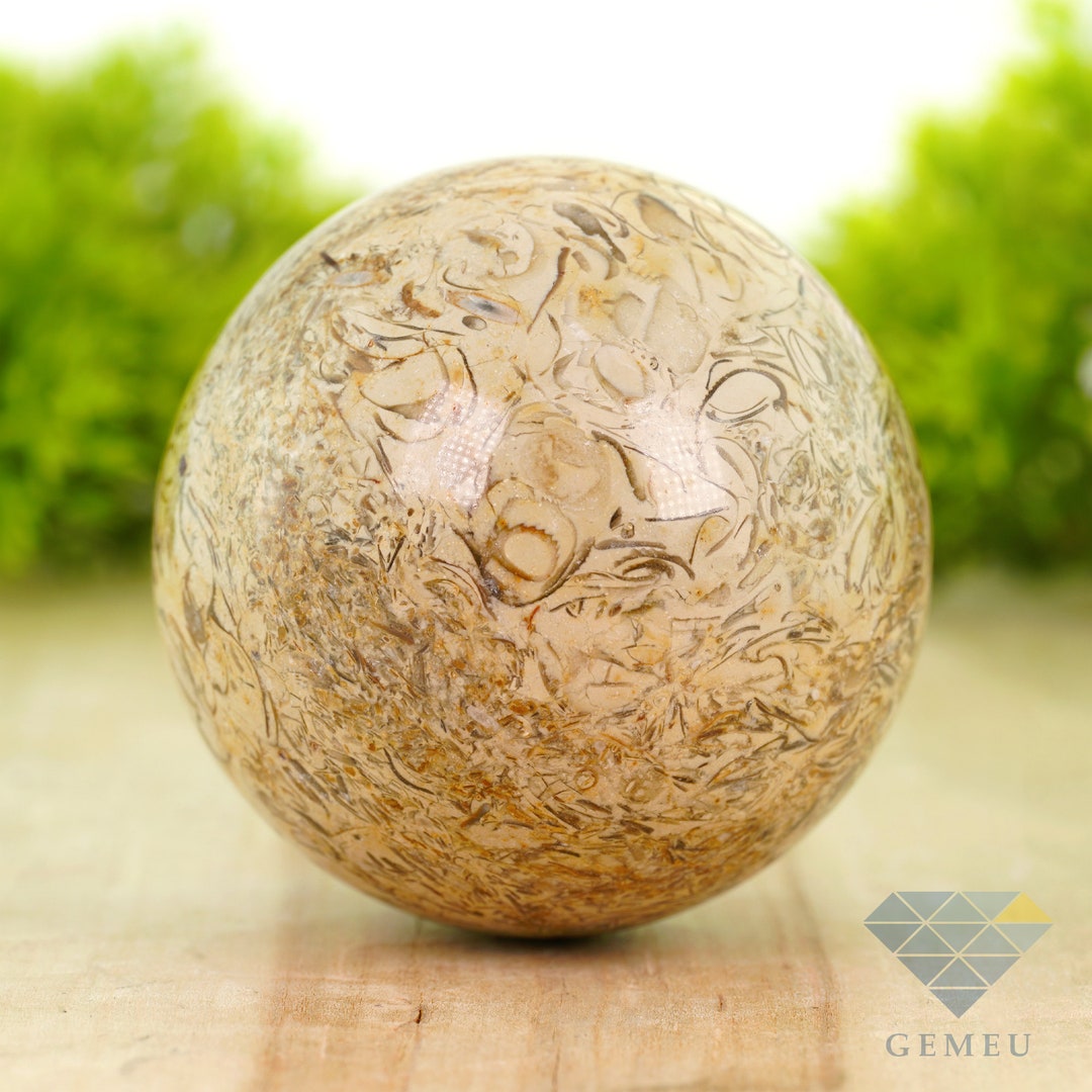 Dinosaur Bone 170g. Carved Sphere Fossilized Plesiosaur Bone Polished ...