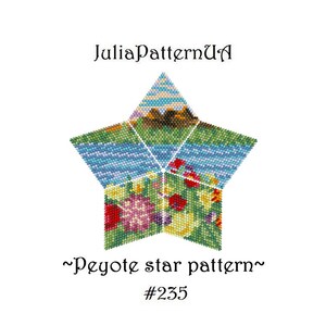 Summer Landscape Peyote Star Pattern Mountain and Flower Field Near the ...