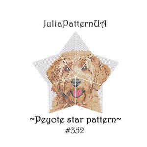 Golden Doodle 3D Peyote Star Pattern PDF Dog Beaded Star Pattern DIY ...