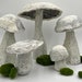 Mushroom Medium Flathead Paper Mâché Sculpture /shelf Accent Fairycore ...