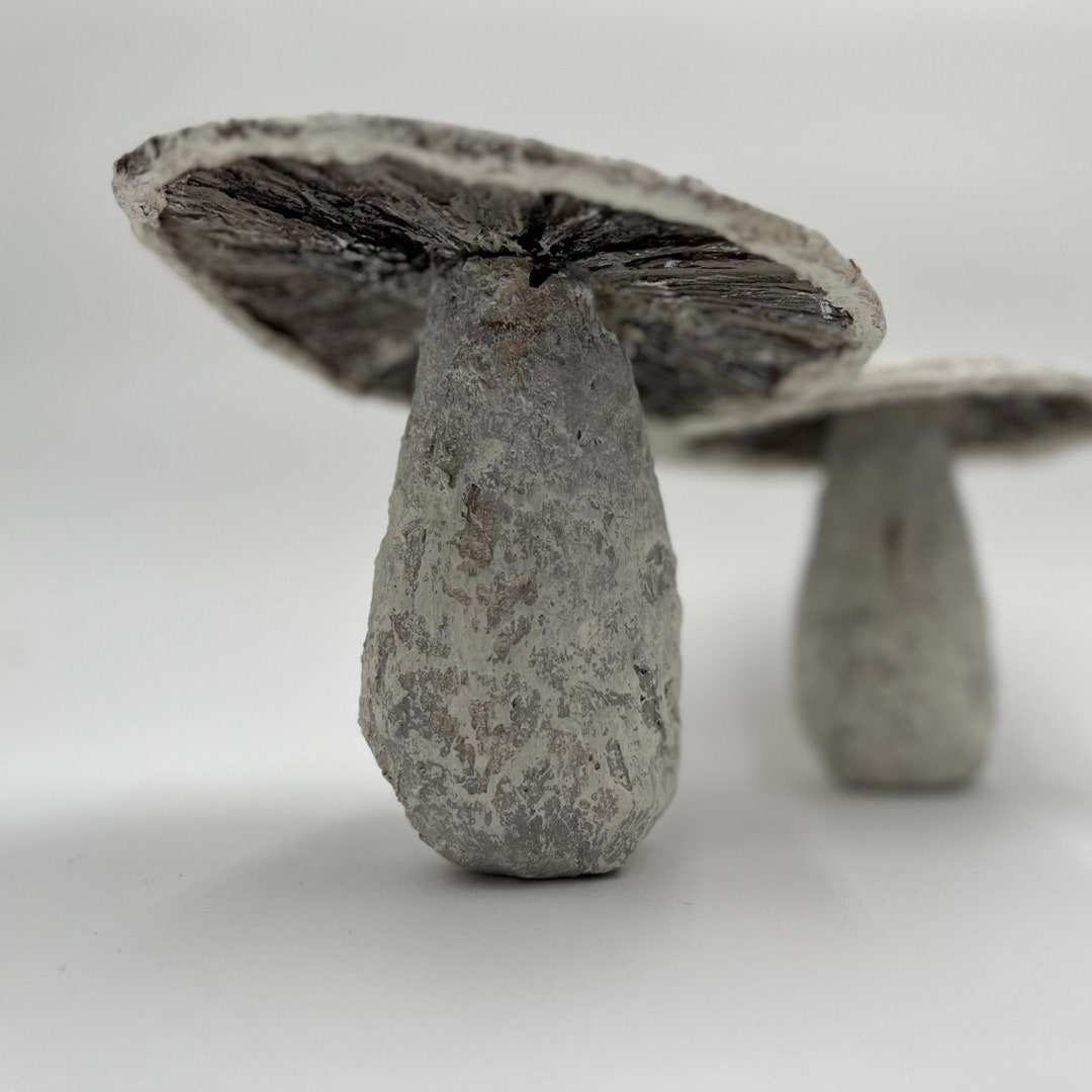 Mushroom Medium Flathead Paper Mâché Sculpture /shelf Accent Fairycore ...