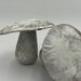 Mushroom Medium Flathead Paper Mâché Sculpture /shelf Accent Fairycore ...