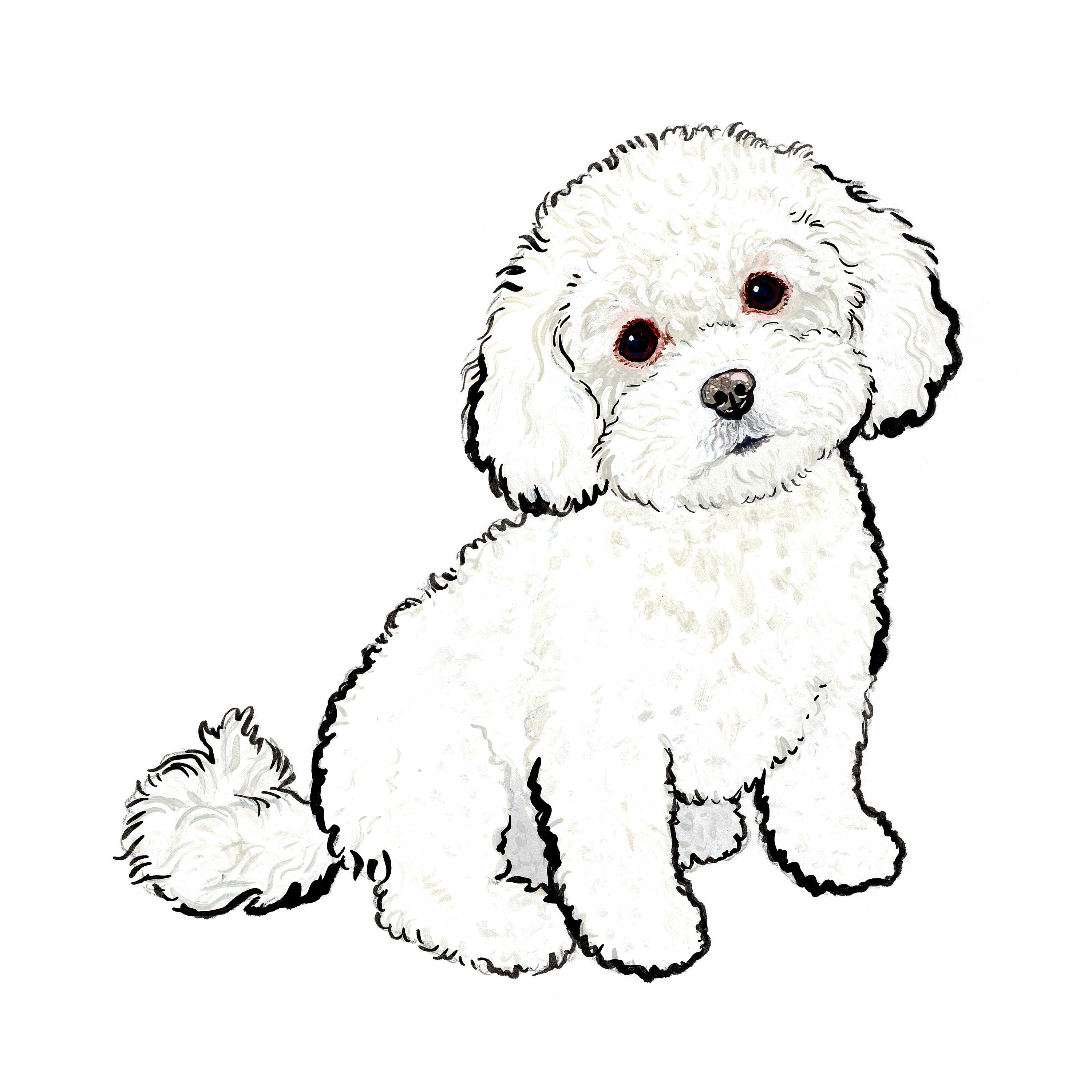 Maltipoo Print Maltipoo Wall Art - Etsy