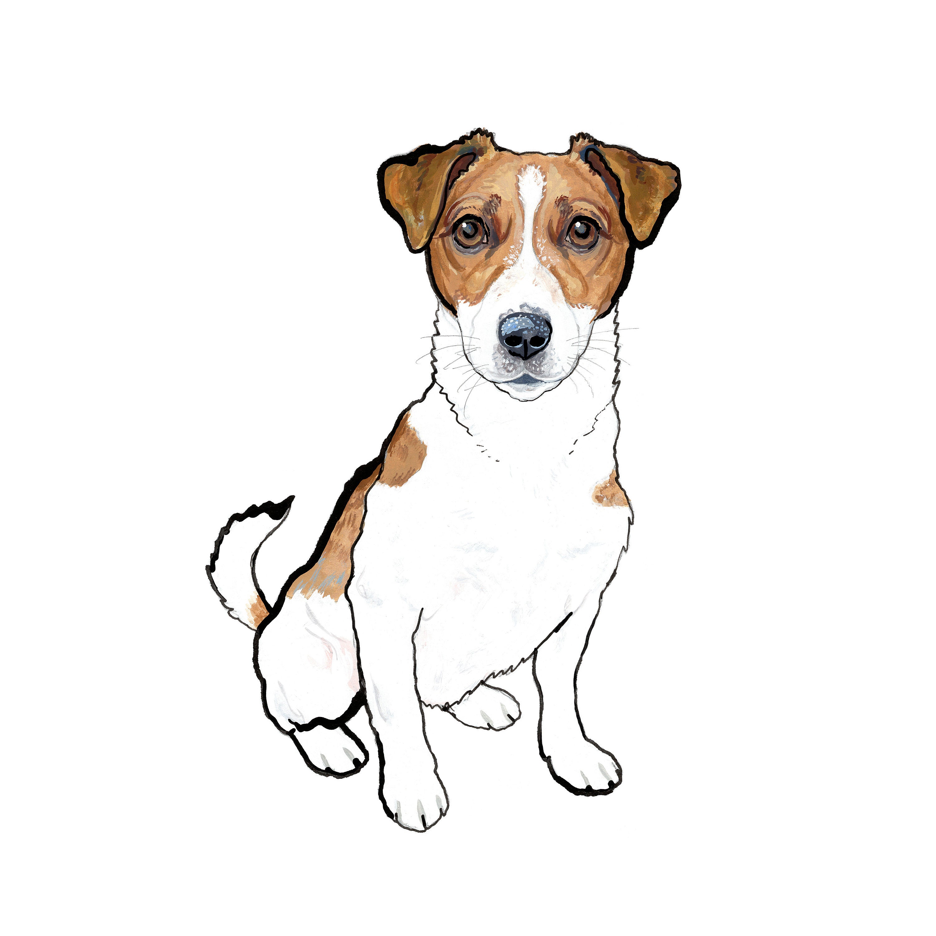 Jack Russell Print Jack Russell Wall Art - Etsy