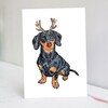 Ruby Red Cockapoo Print | Cockapoo Wall Art - Etsy