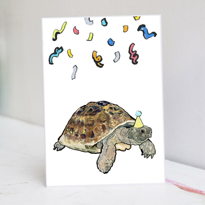 Tortoise Birthday Card Turtle Birthday Card Tortoise Card - Etsy UK