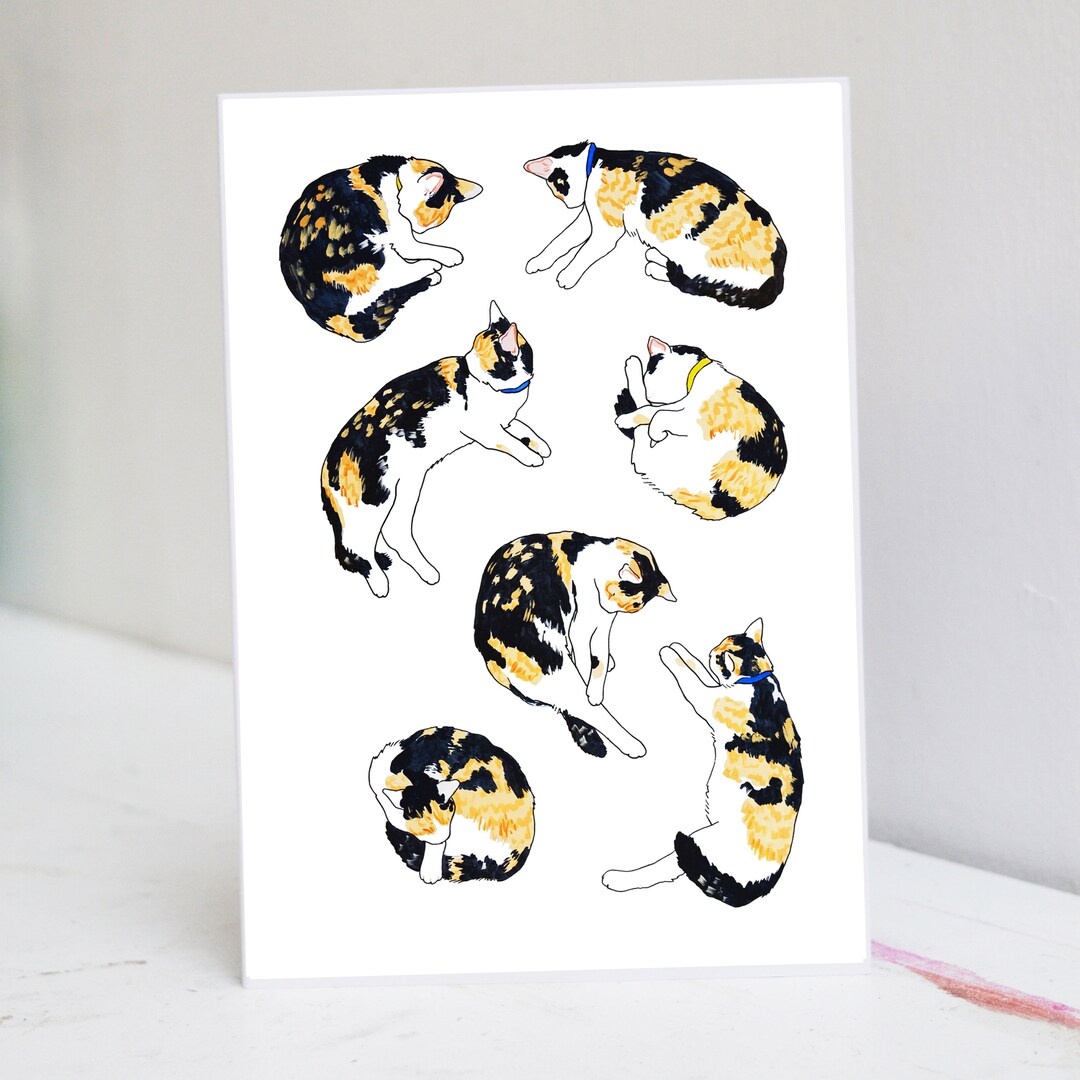 Calico Cat Nap Card | Sleeping Cat Illustration | Sleeping Cat Card ...
