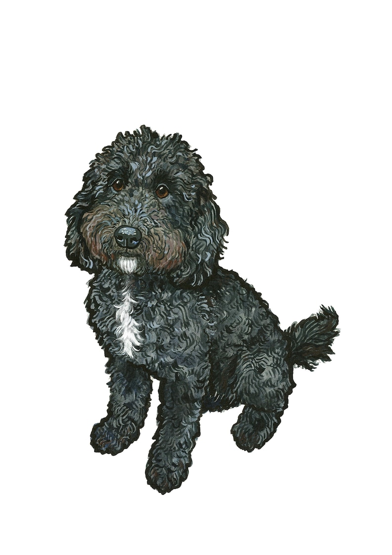 Black and White Cockapoo Print Black Cockapoo Wall Art - Etsy