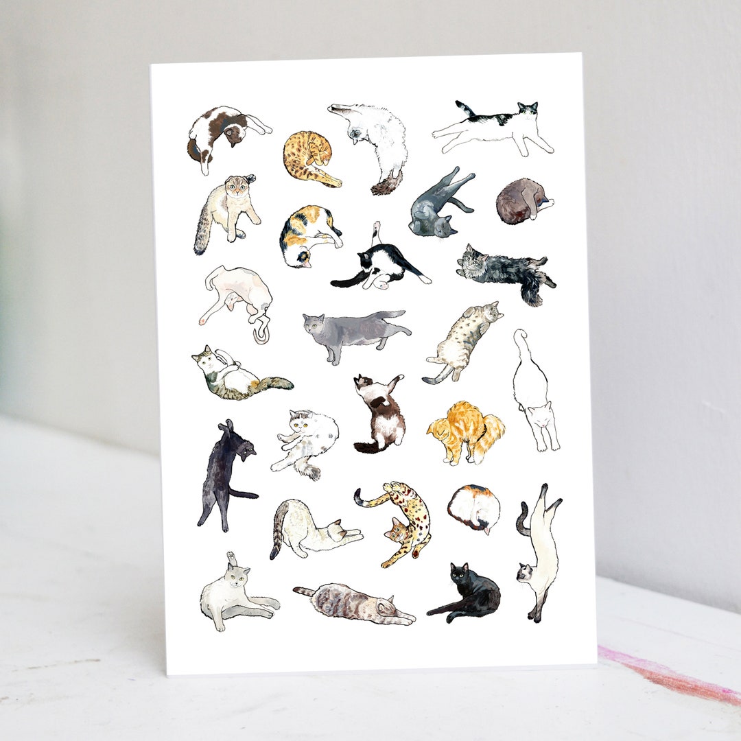 Cat Yoga Card | Funny Cat Card | Sleeping Cat Card | Cat Nap Card - Etsy