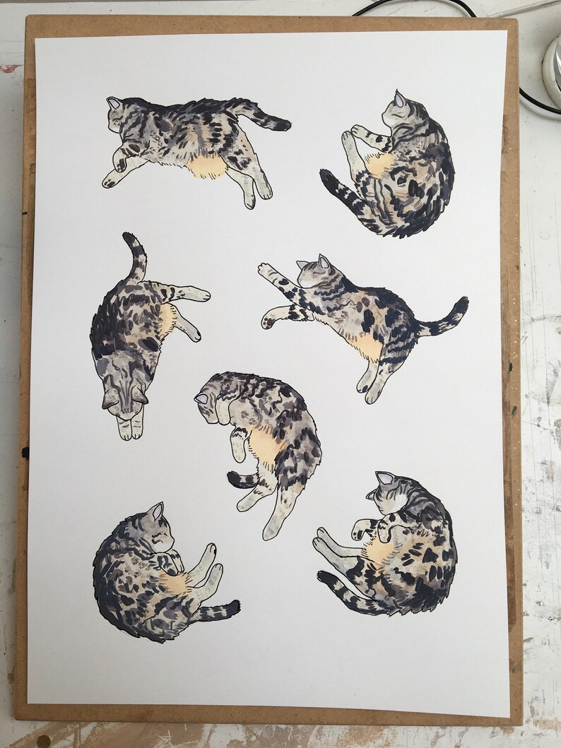 A3 'cat Nap Studies' Bespoke Pet Portrait Commission - Etsy