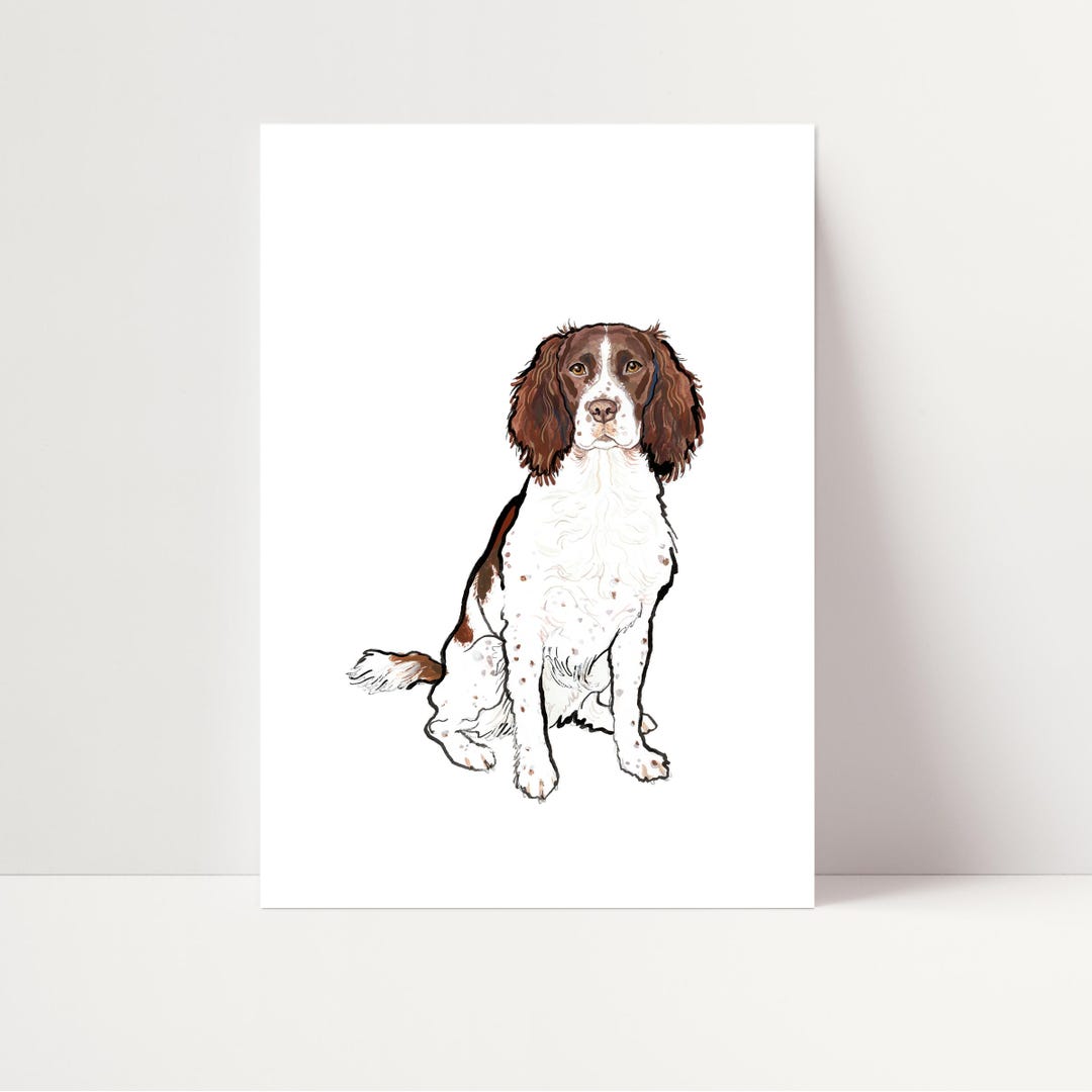 Springer Spaniel Print | Springer Spaniel Wall Art - Etsy