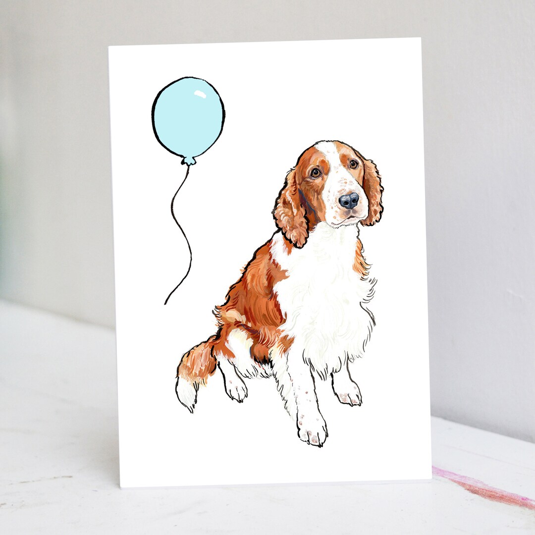 Welsh Springer Spaniel Birthday - Etsy