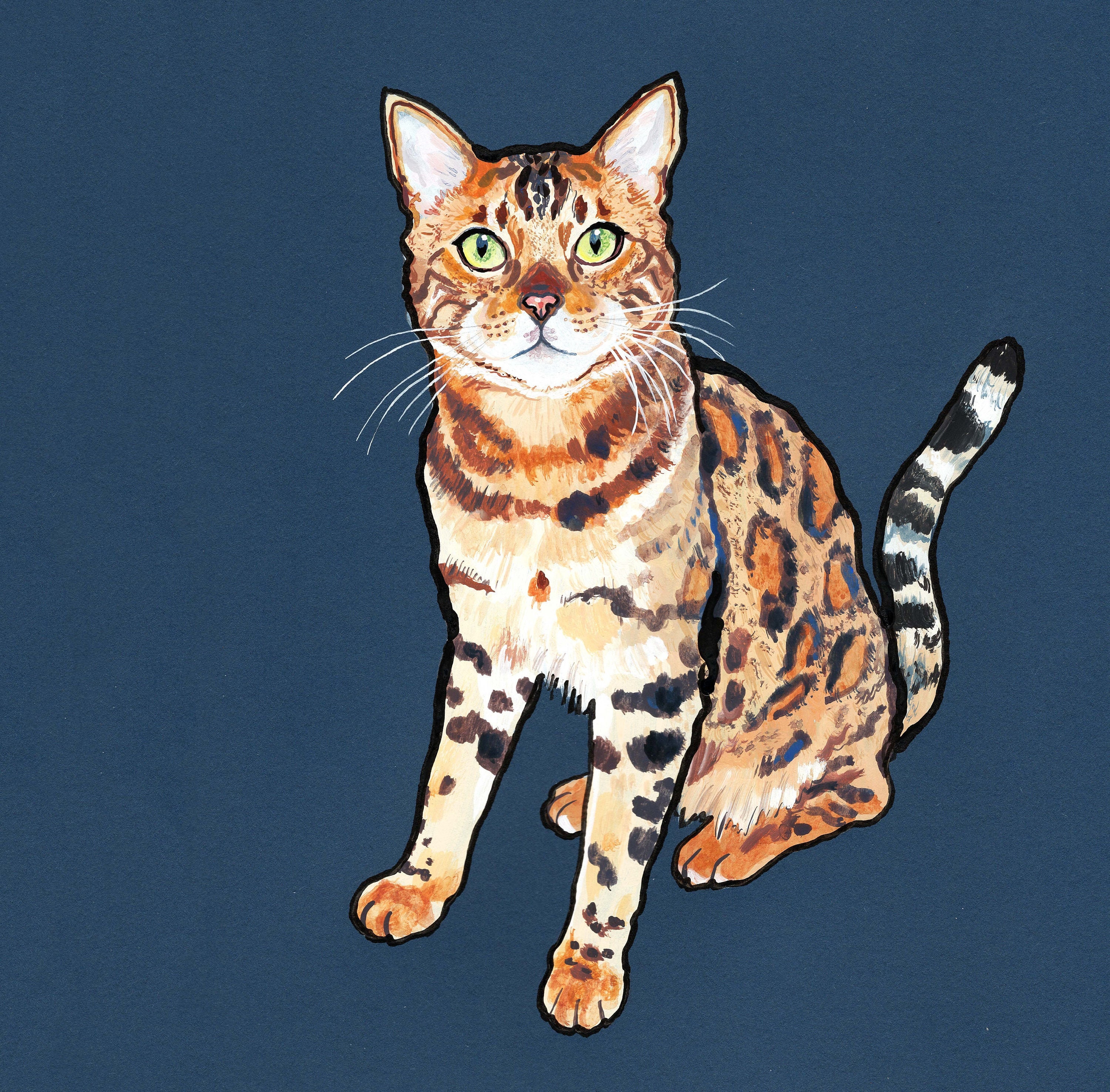 A4 'colour' Bespoke Pet Portrait Commission - Etsy