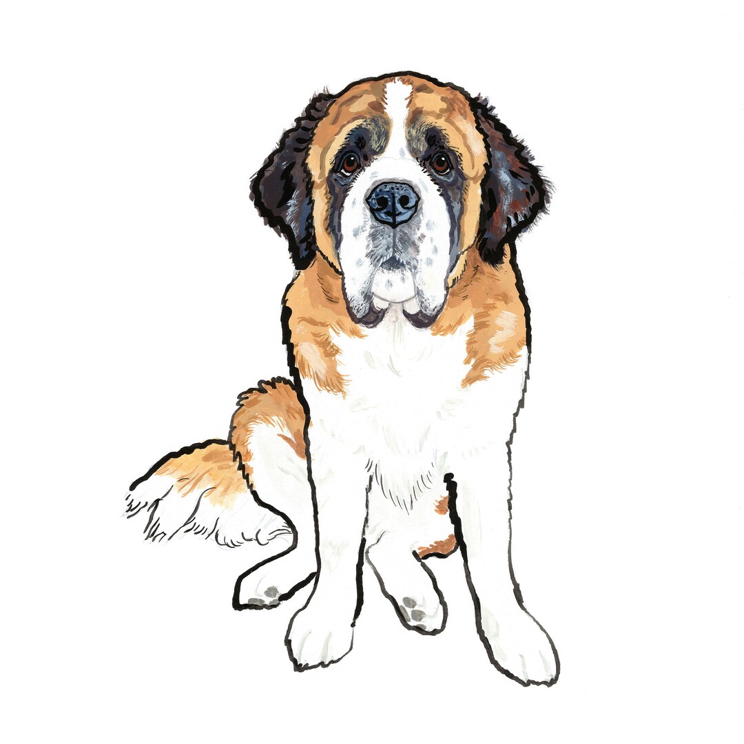 St Bernard Print St Bernard Wall Art - Etsy