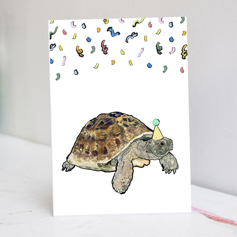 Tortoise Birthday Card - Etsy