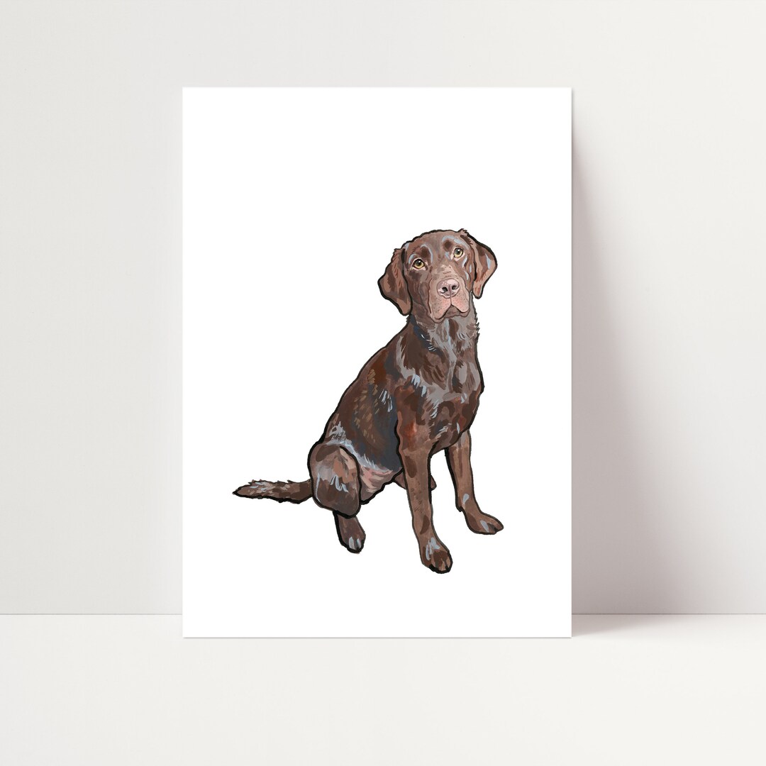 Chocolate Labrador Print | Labrador Wall Art - Etsy