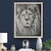 ORIGINAL Lion Pencil Drawing by Jason Bodell A2 Lion Portrait, Fine Art ...