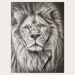ORIGINAL Lion Pencil Drawing by Jason Bodell A2 Lion Portrait, Fine Art ...