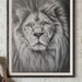 ORIGINAL Lion Pencil Drawing by Jason Bodell A2 Lion Portrait, Fine Art ...