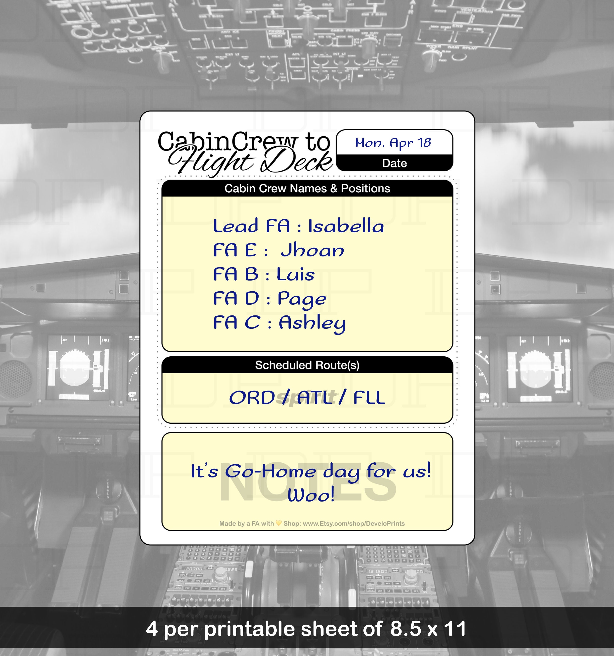 Printable Cabin Crew to Flight Deck Briefing Sheets | Spirit Airlines ...