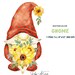 Watercolor Gnome Sunflower PNG Clipart. Summer Gnome PNG Clipart Hand ...