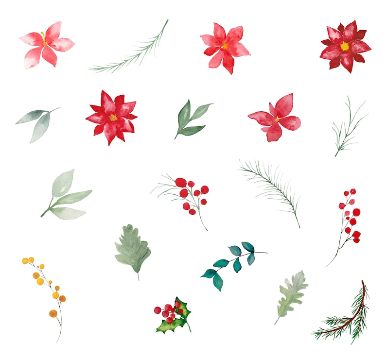 Christmas Watercolor Clipart Christmas Floral Poinsettia - Etsy