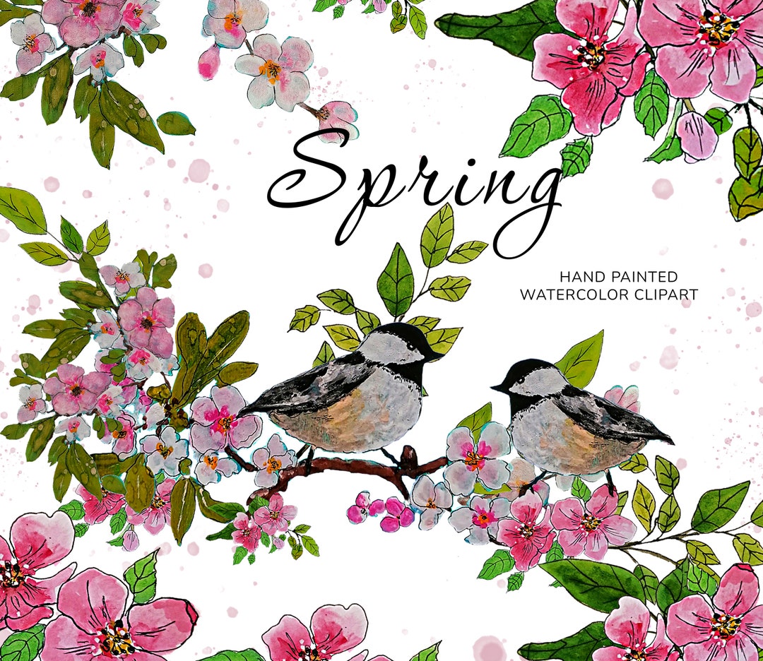 Spring Clipart, Birds, Leaves, Branches, PNG Transparent Background - Etsy