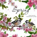 Spring Clipart, Birds, Leaves, Branches, PNG Transparent Background - Etsy
