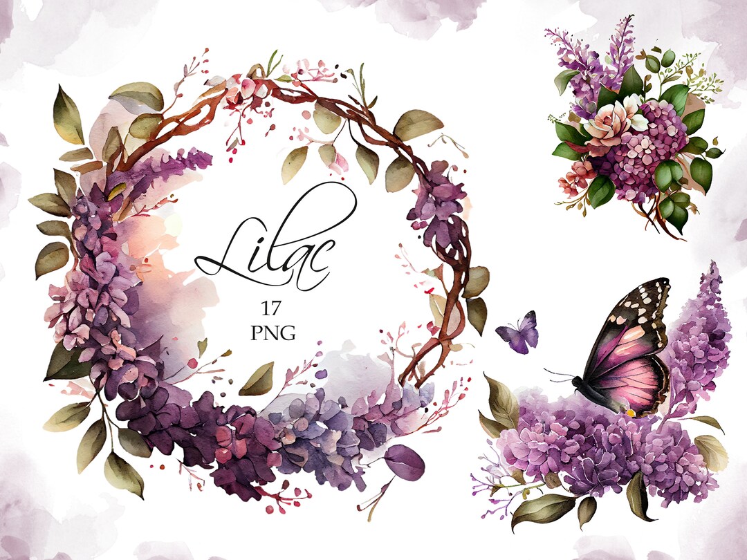 Watercolor Lilac Clipart Png, Lilac Clip Art, Wedding, Bouquets ...