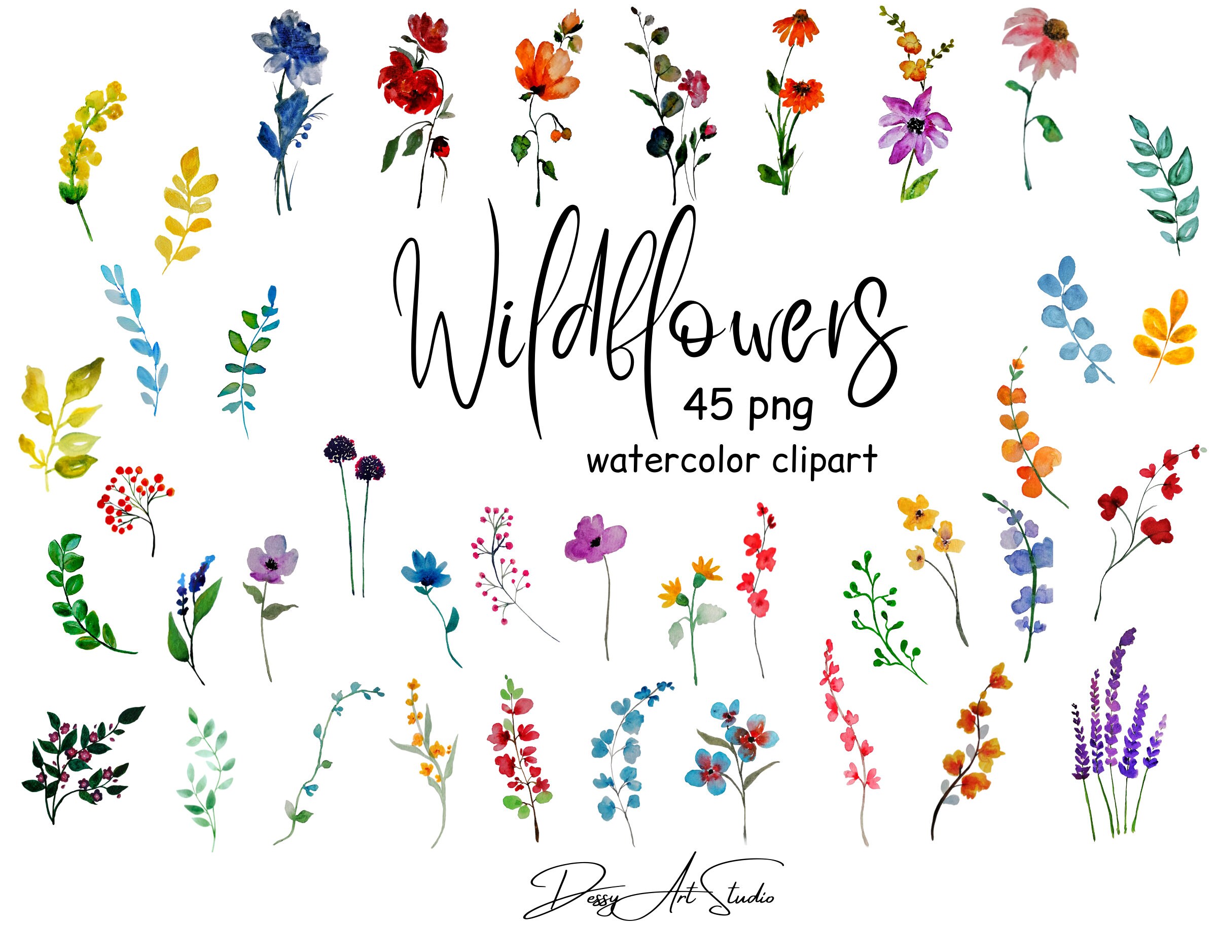 Wildflowers 45 PNG Watercolor Floral Clipart Wildflowers | Etsy
