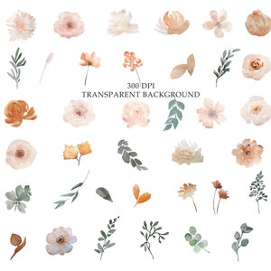 Watercolor Boho Flowers Clipart, Hand Painted Watercolor Creamy Orange ...