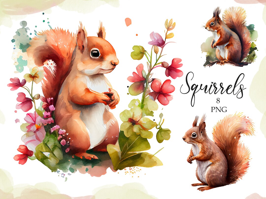 Watercolour Squirrels Clipart Bundle, Squirrels Png, Woodland Animals ...