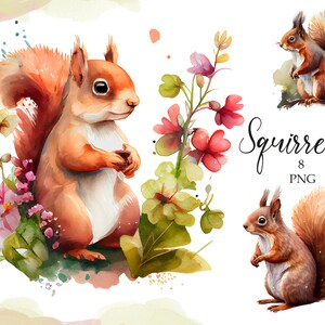 Watercolour Squirrels Clipart Bundle, Squirrels Png, Woodland Animals ...
