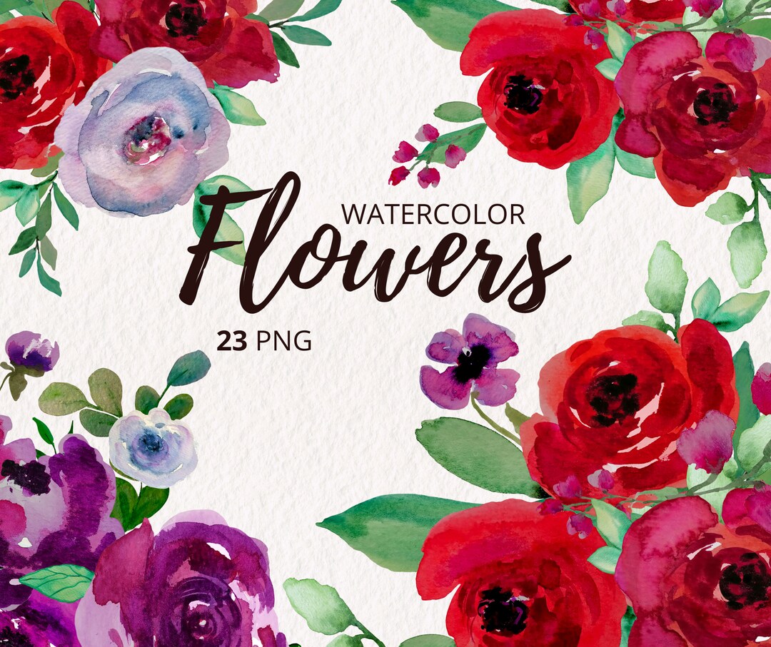 Watercolor Summer Flowers, Leaves, Branches Watercolor Clipart ...