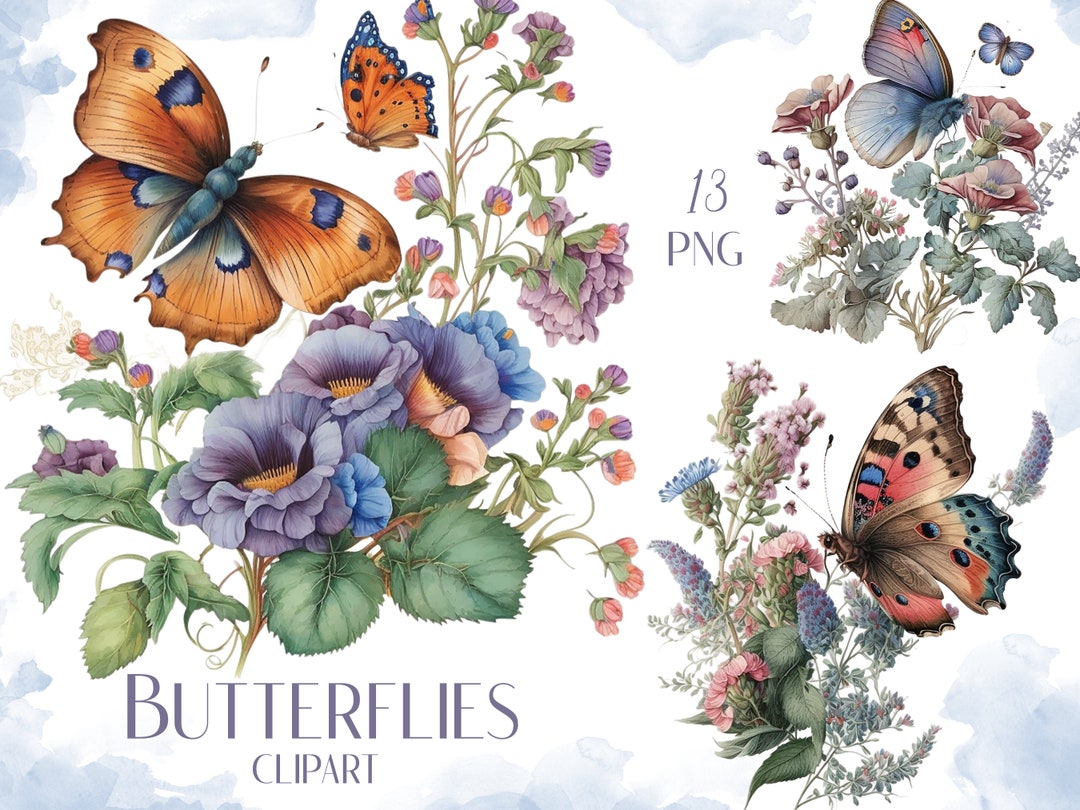 Butterflies Clipart, Floral Watercolor Clipart, Spring, Summer ...