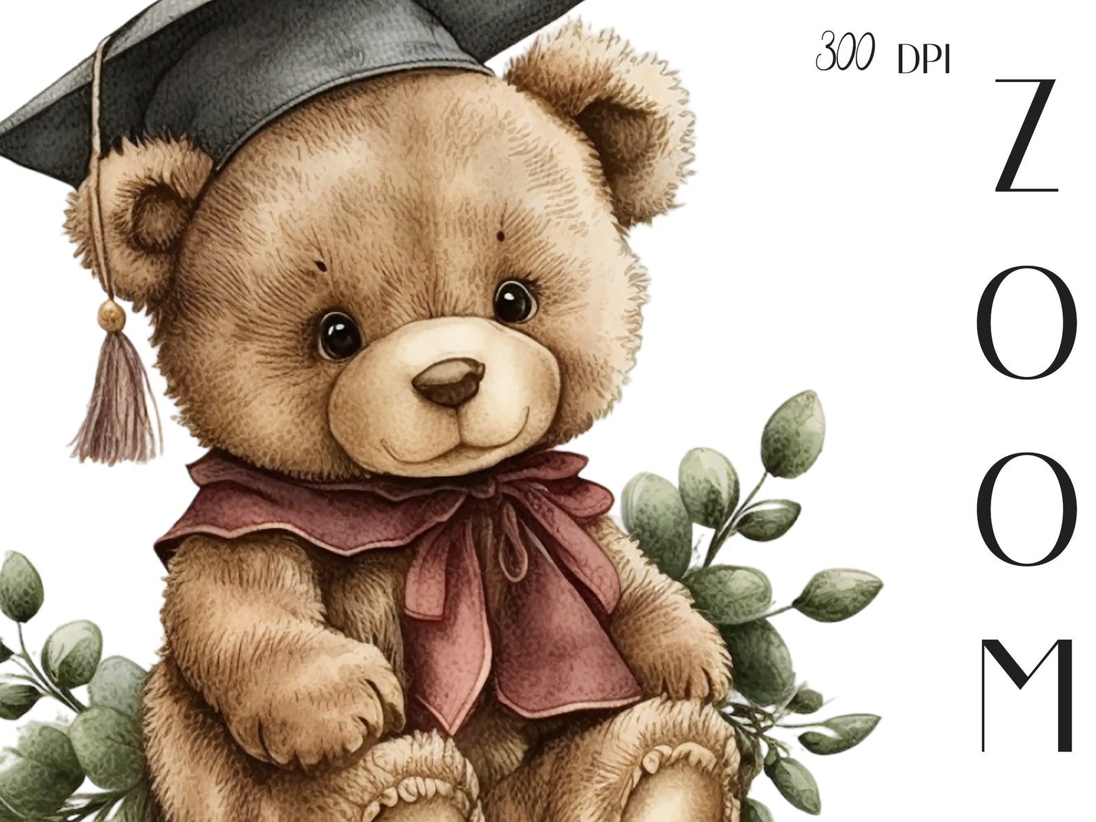 Graduation Teddy Bear Clipart, Nursery Clipart, Nursery Decor, Teddy ...