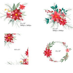 Christmas Watercolor Clipart, Christmas Floral, Poinsettia Clipart ...