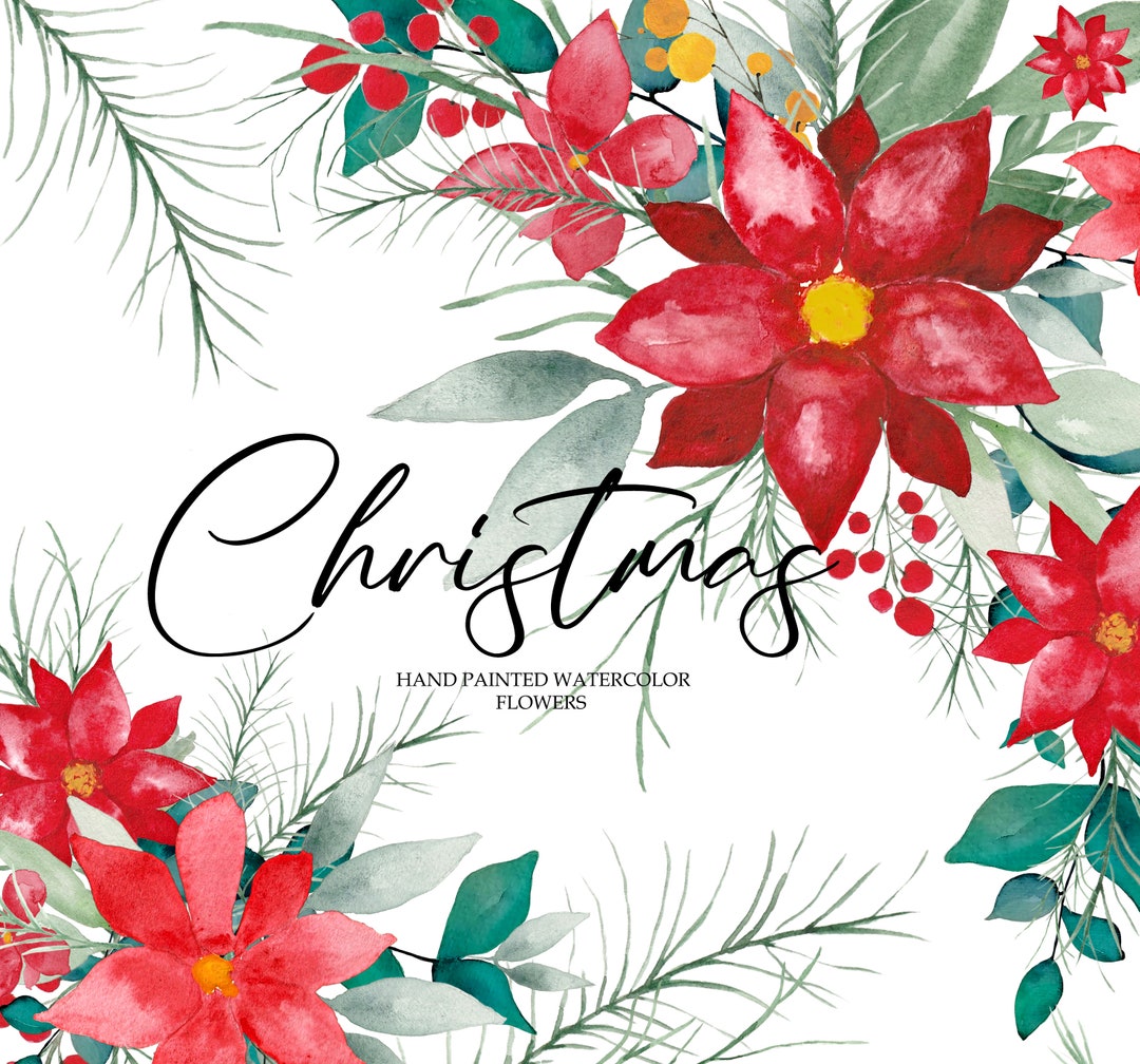 Christmas Watercolor Clipart, Christmas Floral, Poinsettia Clipart ...