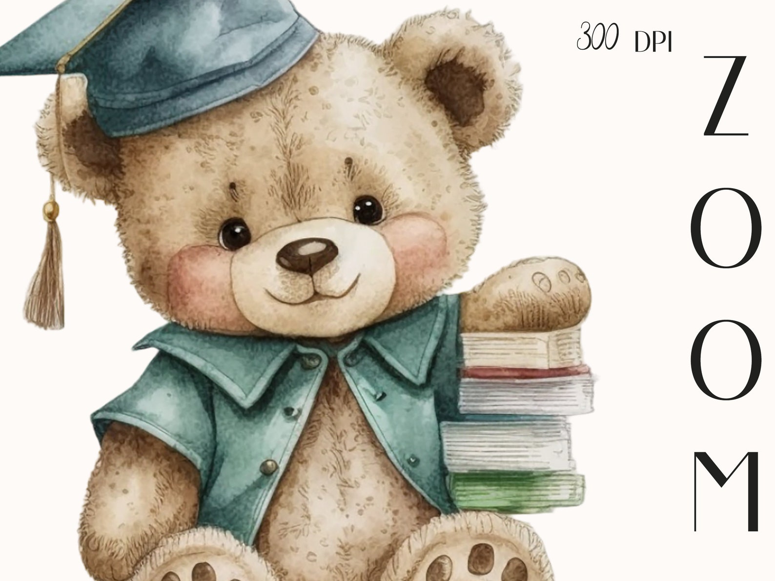 Graduation Teddy Bear Clipart, Nursery Clipart, Nursery Decor, Teddy ...